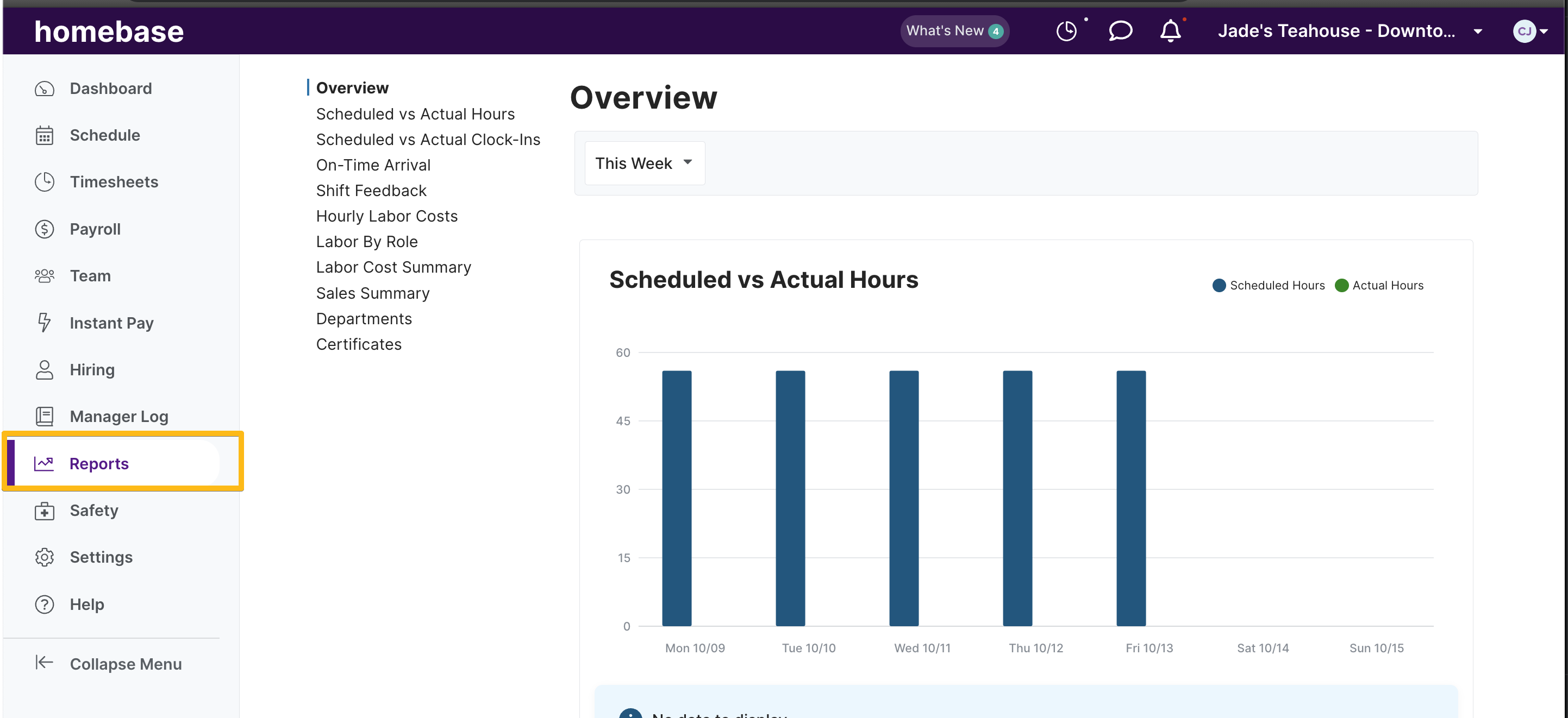 Overview of Reports in Homebase