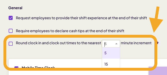 Time Clock Options Settings